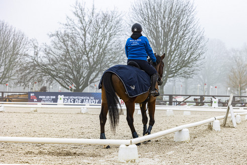 Les meilleurs cavaliers français dans les Hauts-de-Seine - Conseil ...